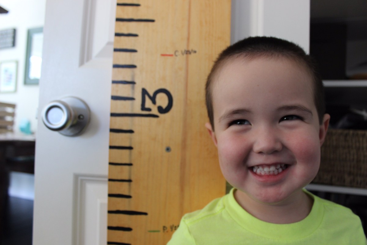 Watch Them Grow: A DIY Growth Chart for Kids – Gadgets and Grain